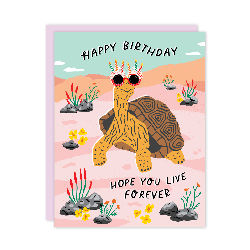 Birthday Tortoise – Dear Ollie